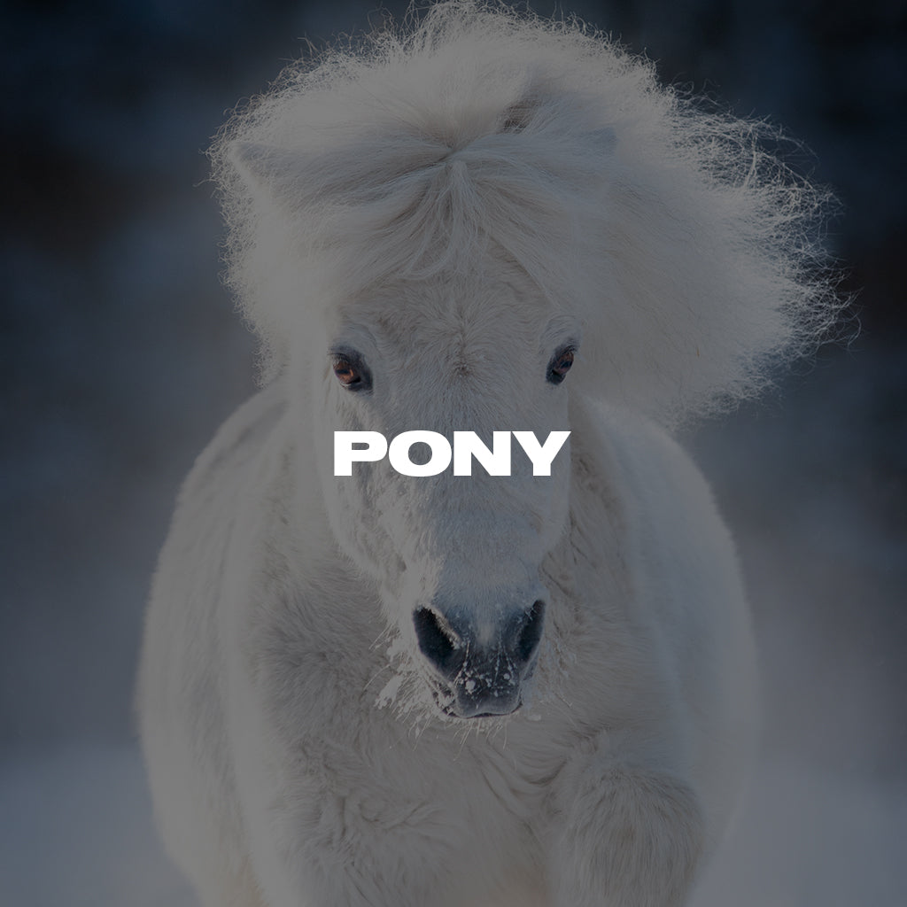 Pony Guitar Tabs – W6RST